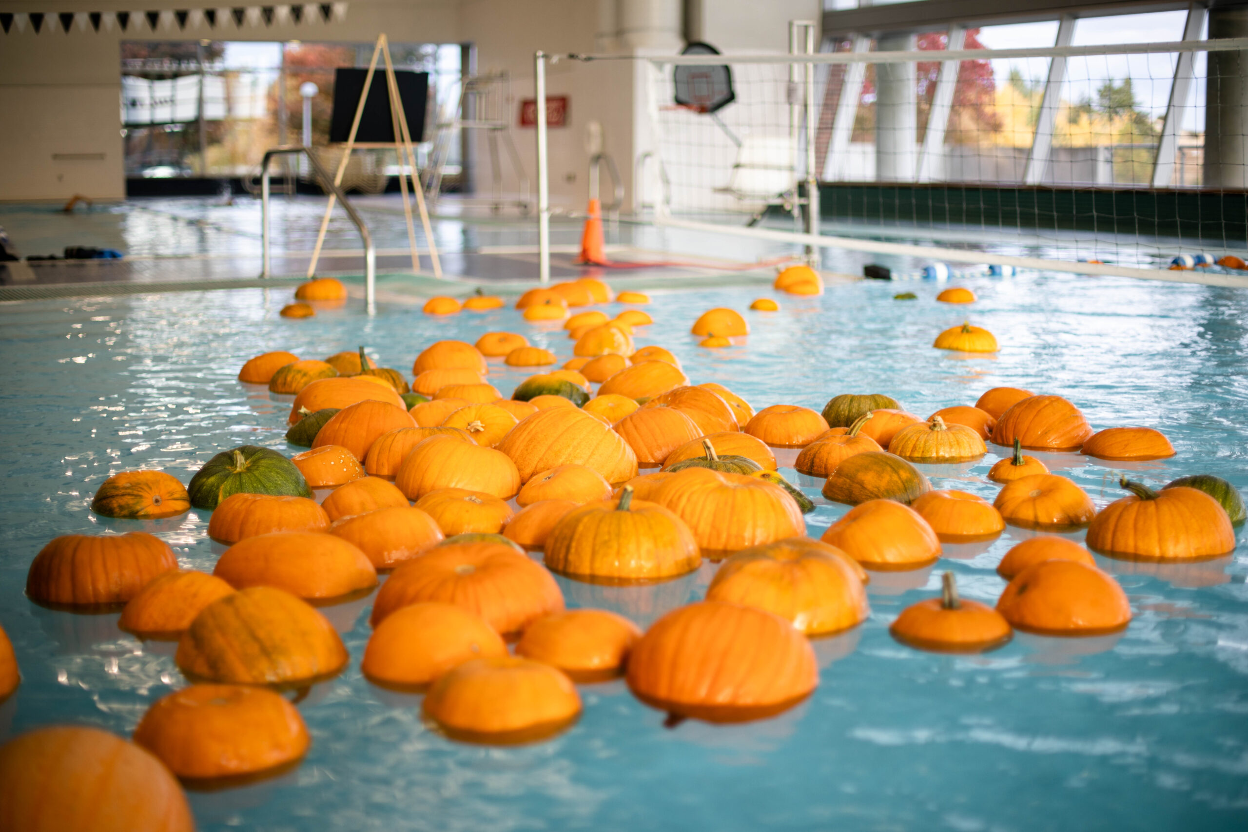 AquaPatch | Events | Washington State University