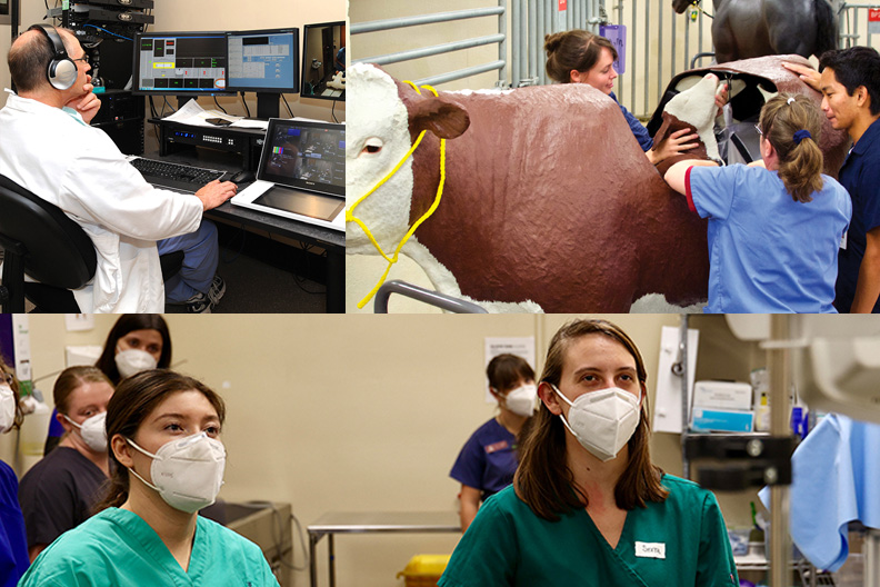 Clinical Simulation Center Open House | Events | Washington State ...