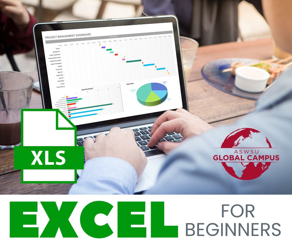 ASWSUG Excel 101 for Beginners | Events | Washington State University