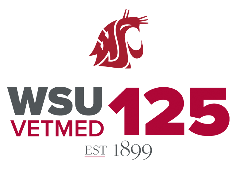 Cake on the Lawn 125th Anniversary Celebration | Events | Washington ...