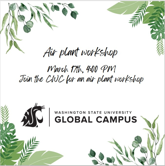 WSU Global Campus – CWC Air Plant Workshop | Events | Washington State ...