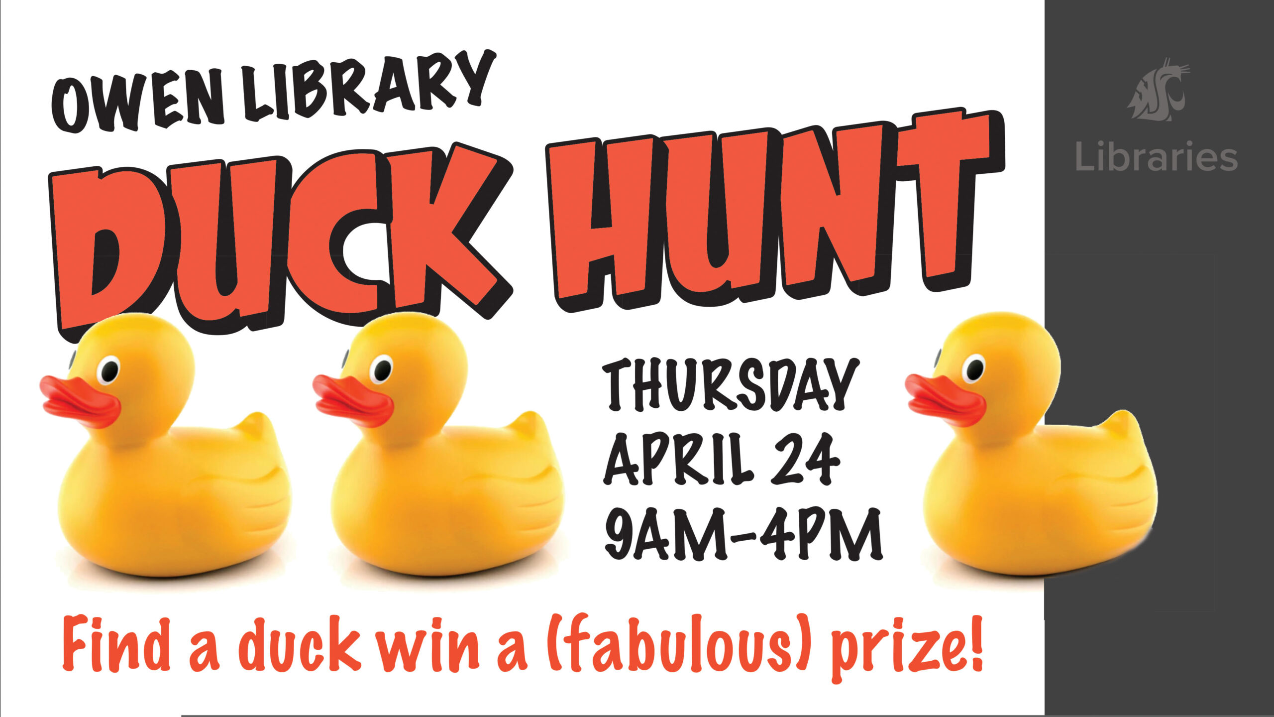 Rubber Duck Hunt at Owen Library | Events | Washington State University