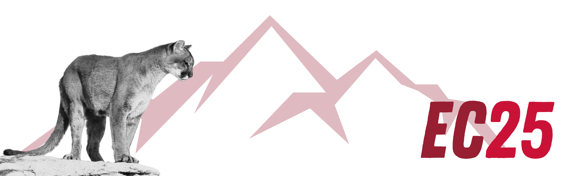 Elevating Cougs | Washington State University