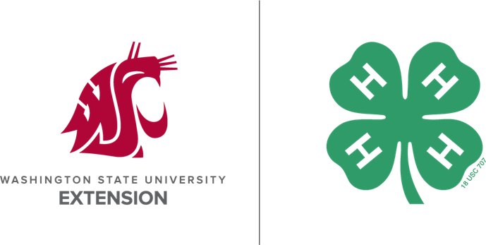 4-H Youth Development Program | Washington State University