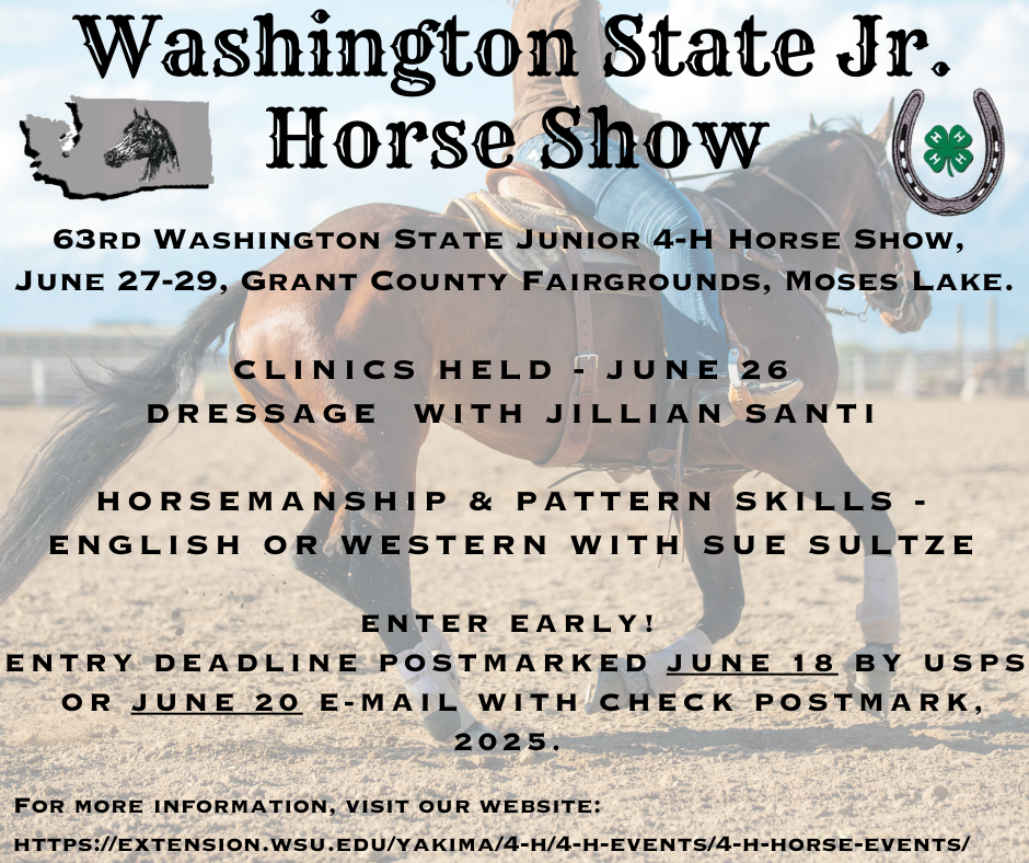 News | 4-H Youth Development Program | Washington State University
