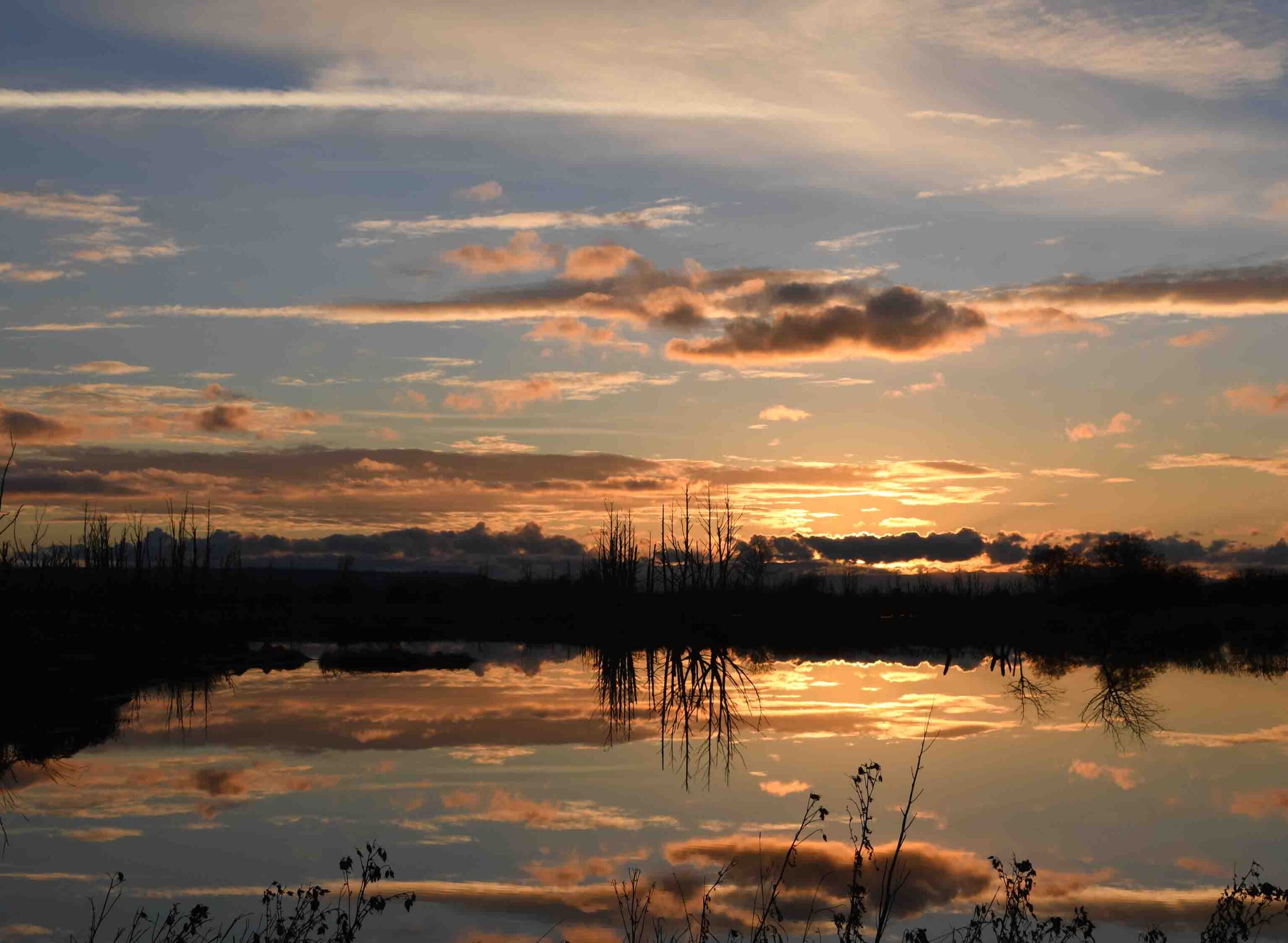 Beach Watchers | Snohomish County | Washington State University