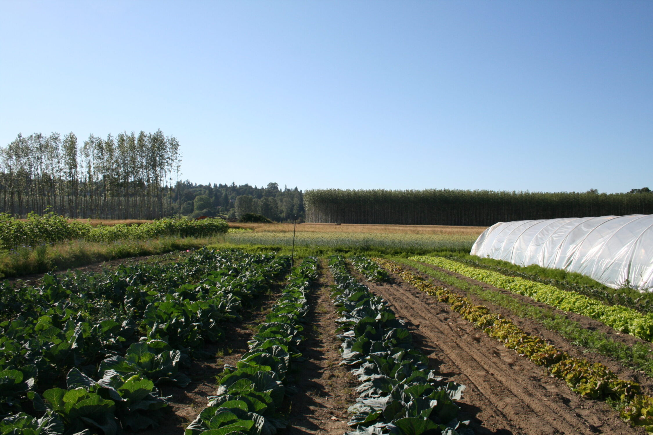 Beginning Farmer Resources | Snohomish County | Washington State University