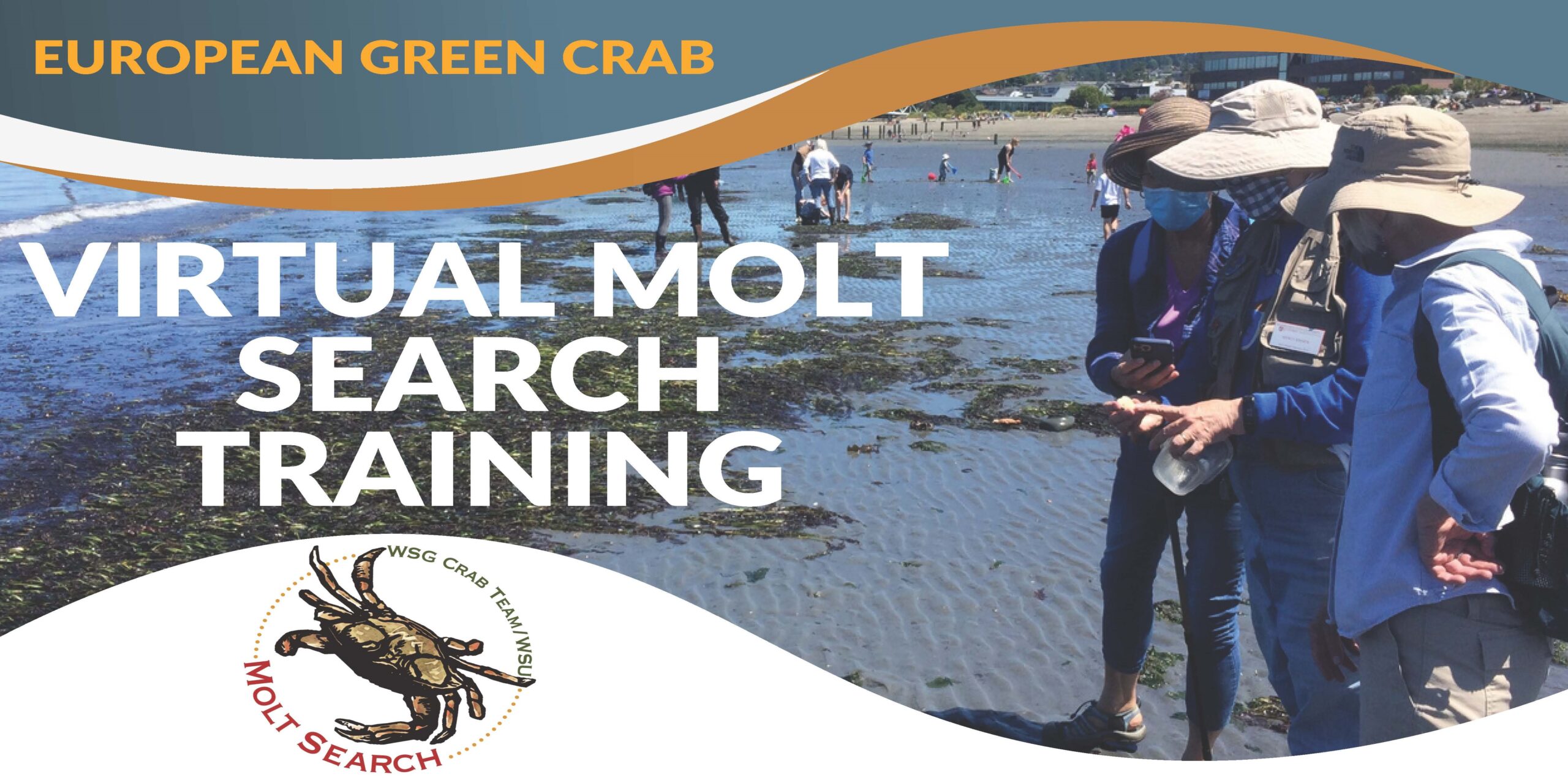 Invasive European Green Crab “Molt Search!” Workshop | Snohomish County | Washington State ...