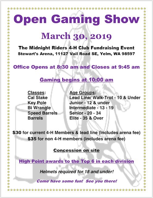 Open Gaming Show 4-H Fundraiser | Thurston County | Washington State ...