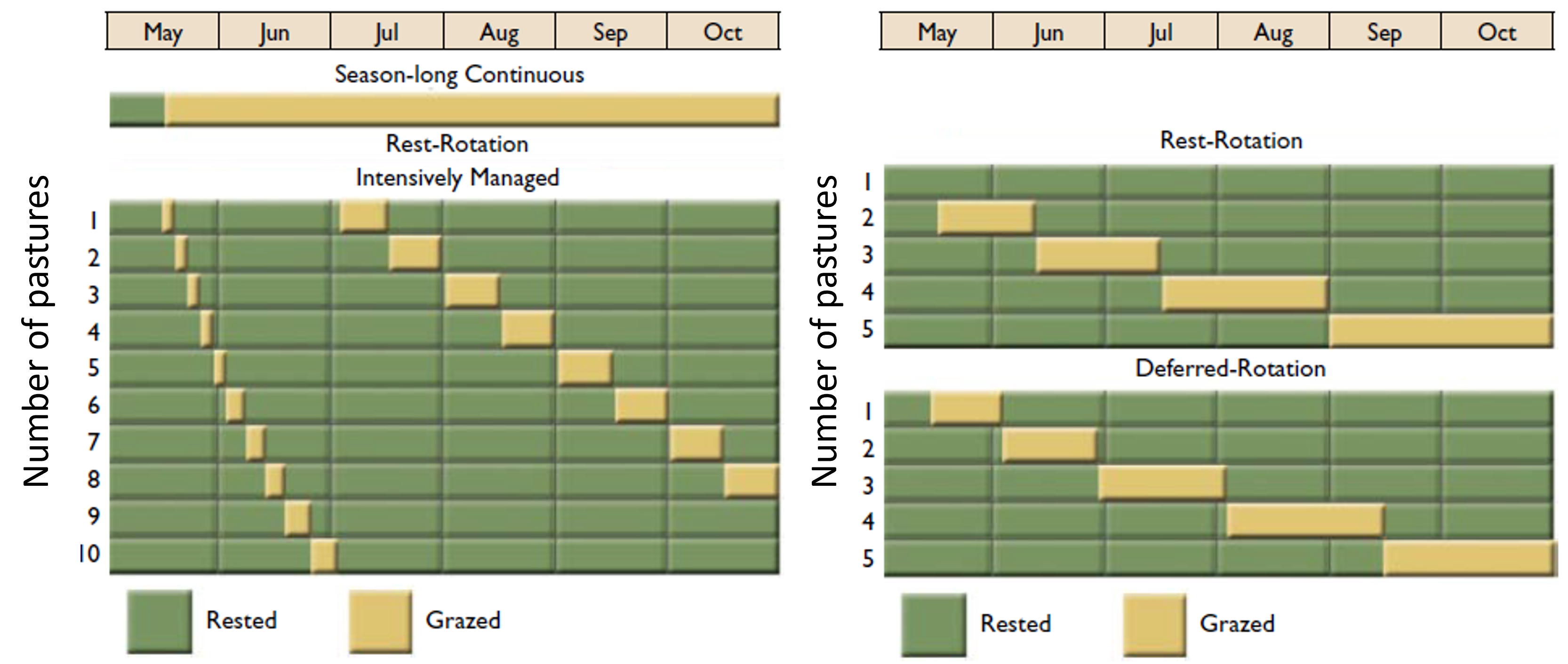 Grazing Systems | Thurston County | Washington State University