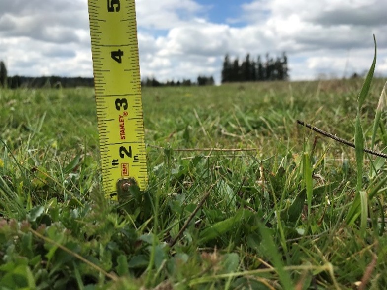 Plant Response to Grazing: Manage Grazing to Guide Plant Community ...