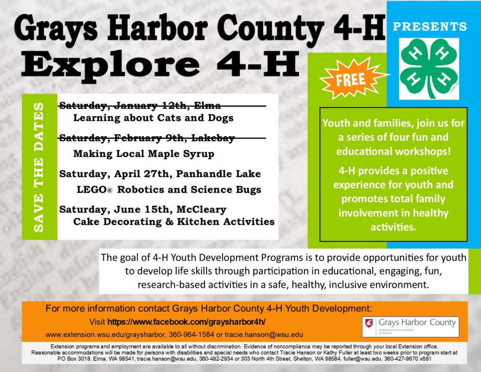 Explore 4-H – LEGO Robotics and Science Bugs | Grays Harbor County ...