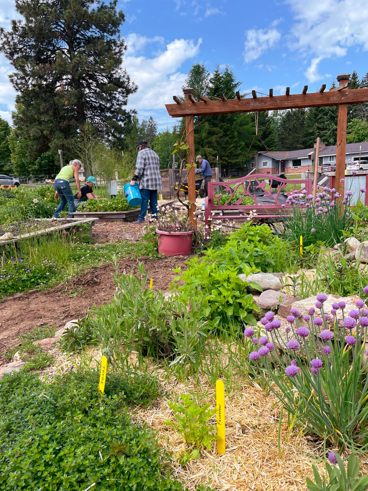 Master Gardeners | Pend Oreille County | Washington State University
