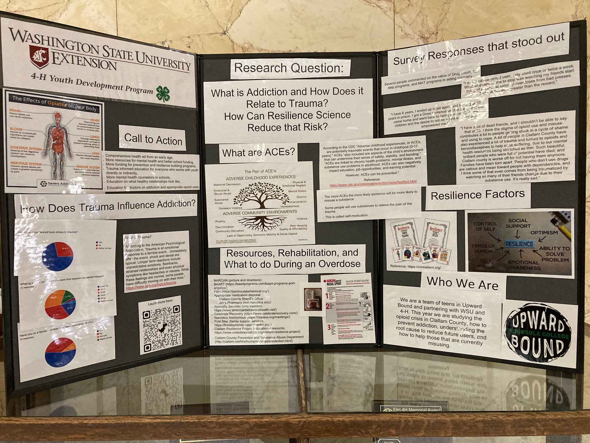 YPAR Trifold Display | Clallam County | Washington State University