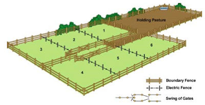 Pasture Grazing Management | Clark County | Washington State University