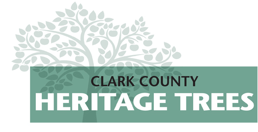 Heritage Trees of Clark County | Clark County | Washington State University