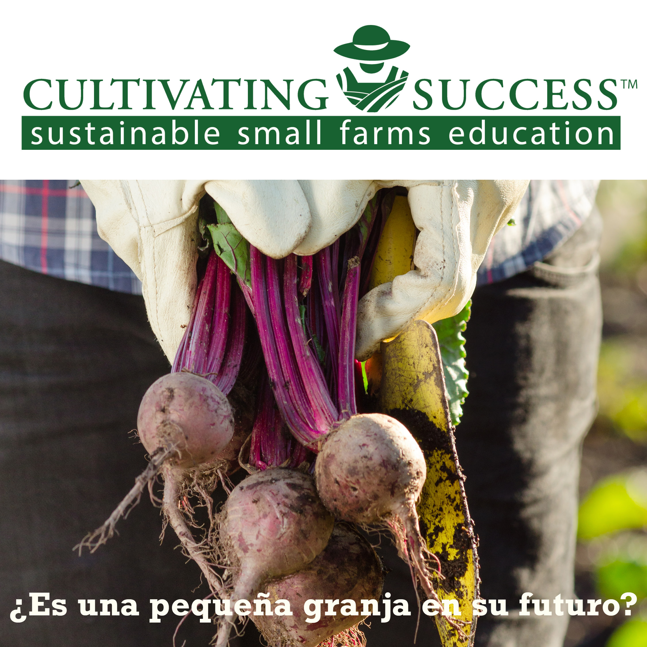 Cultivating Success: Agricultural Entrepreneurship | Regional Small ...