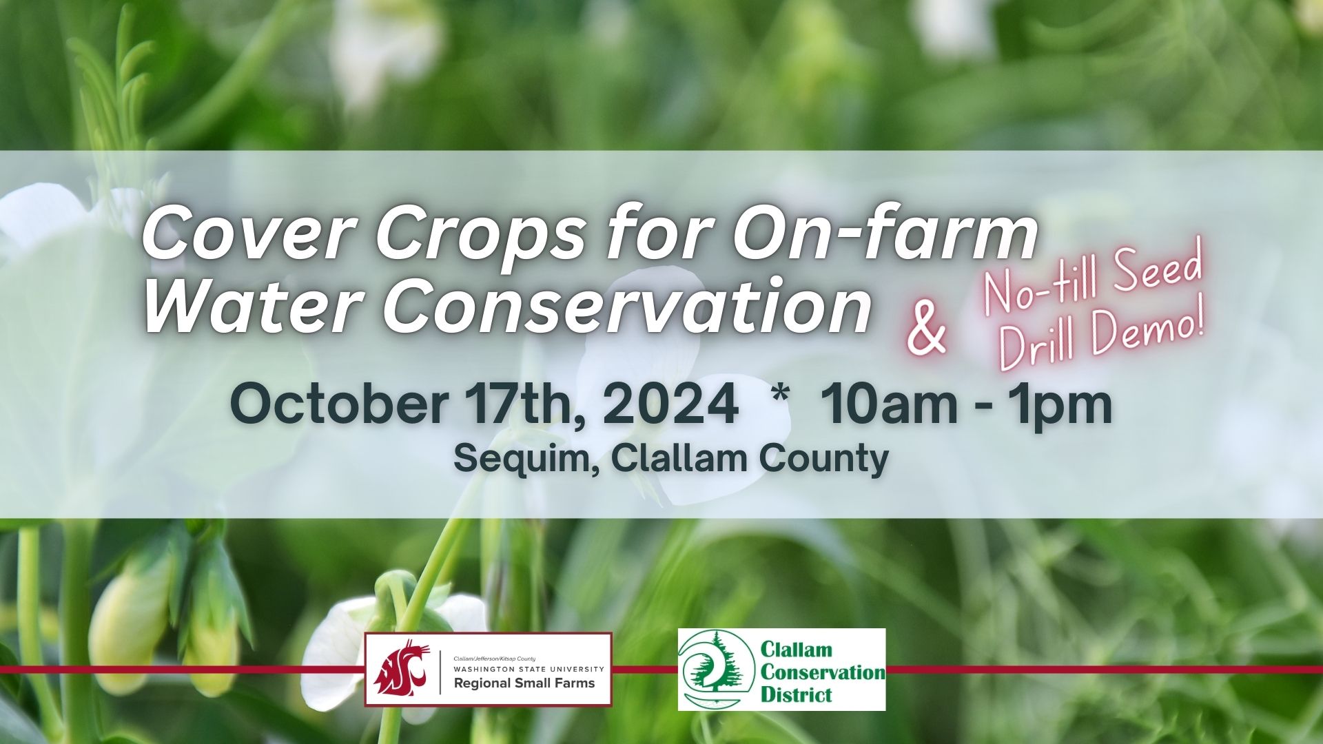 Cover Crops for On-farm Water Conservation | Regional Small Farms ...