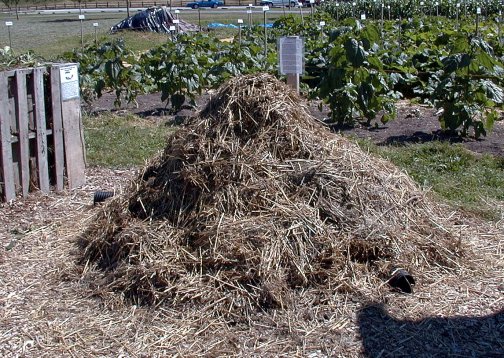 Many Types of Compost | Whatcom County | Washington State University