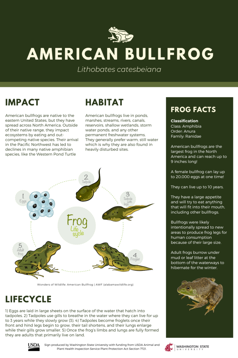 Outreach Materials at No-Cost | Invasive Species | Washington State ...