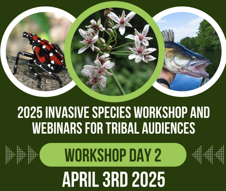 Invasive Species Online Workshop For Tribal Audiences – Day 2 ...