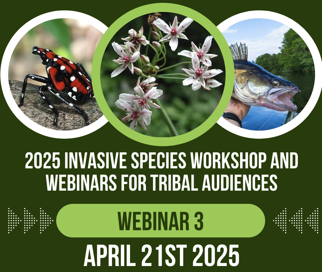 Invasive Species Webinar For Tribal Audiences – Webinar 3 | Invasive ...