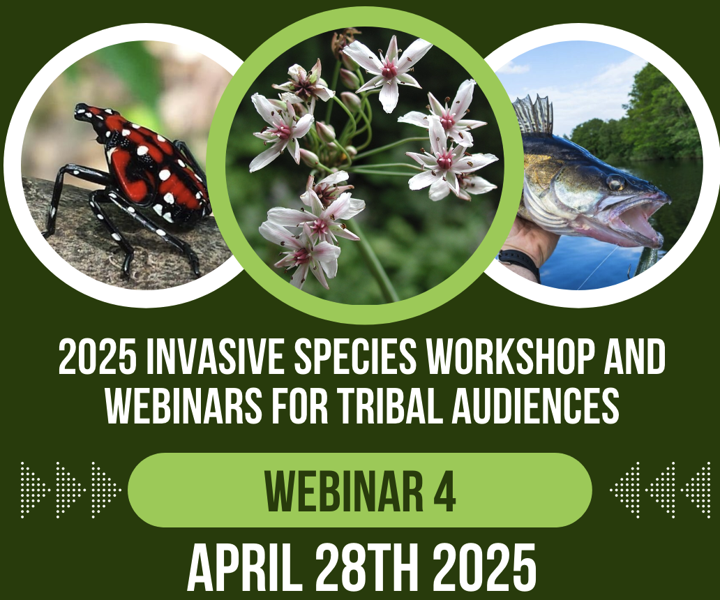 Invasive Species | Washington State University