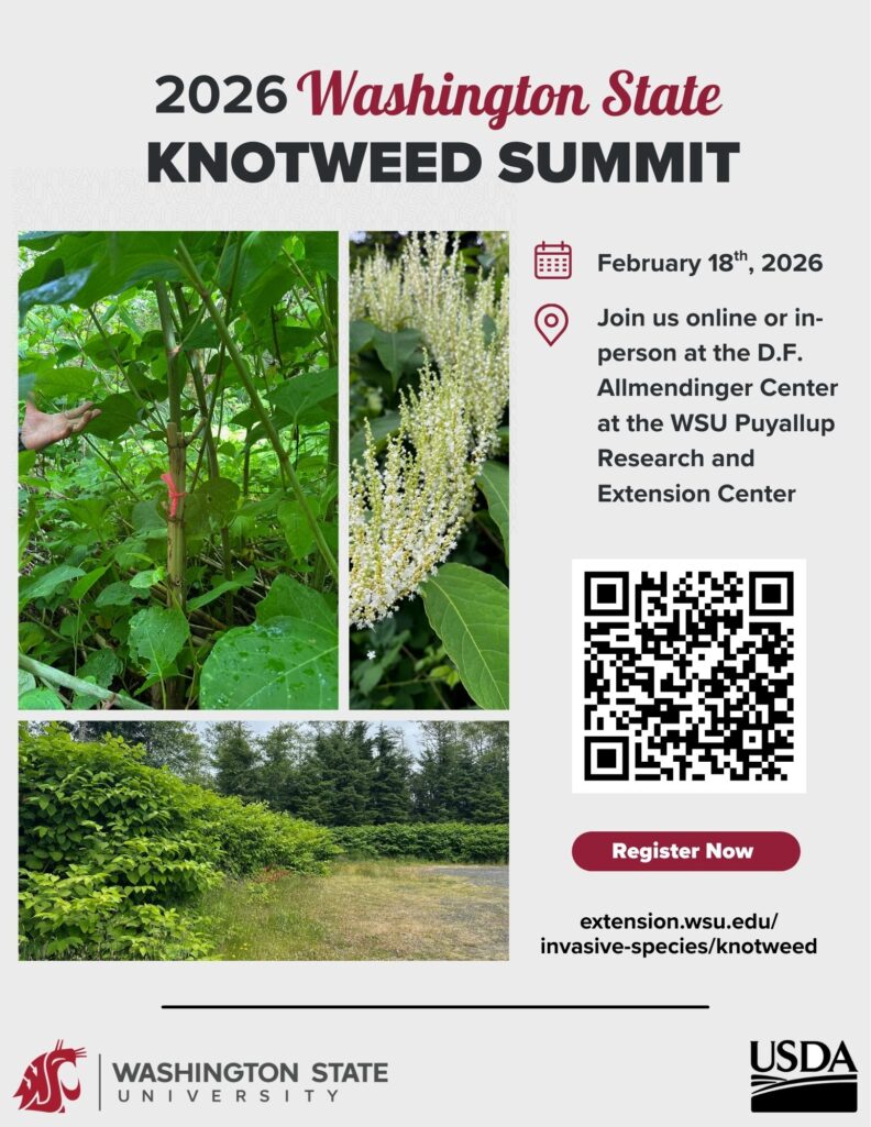 Washington State Knotweed Summit | Invasive Species | Washington State ...