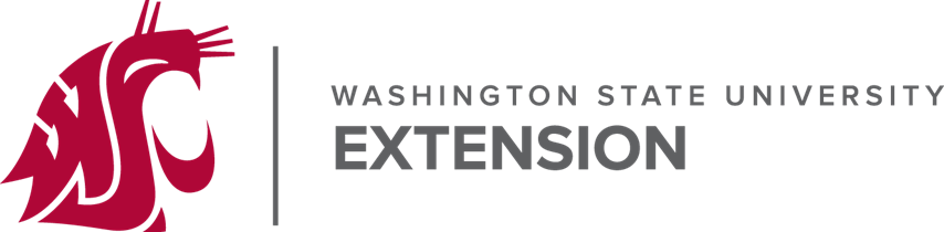 WSU Extension Broadband Resources | Washington State University