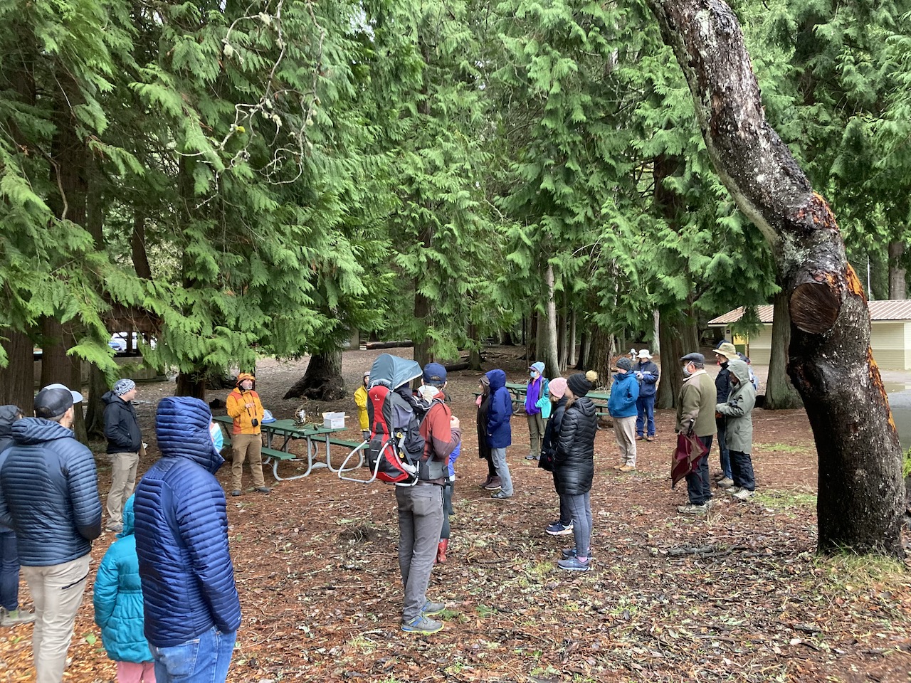 Wsu Forest Health Lab Washington State University