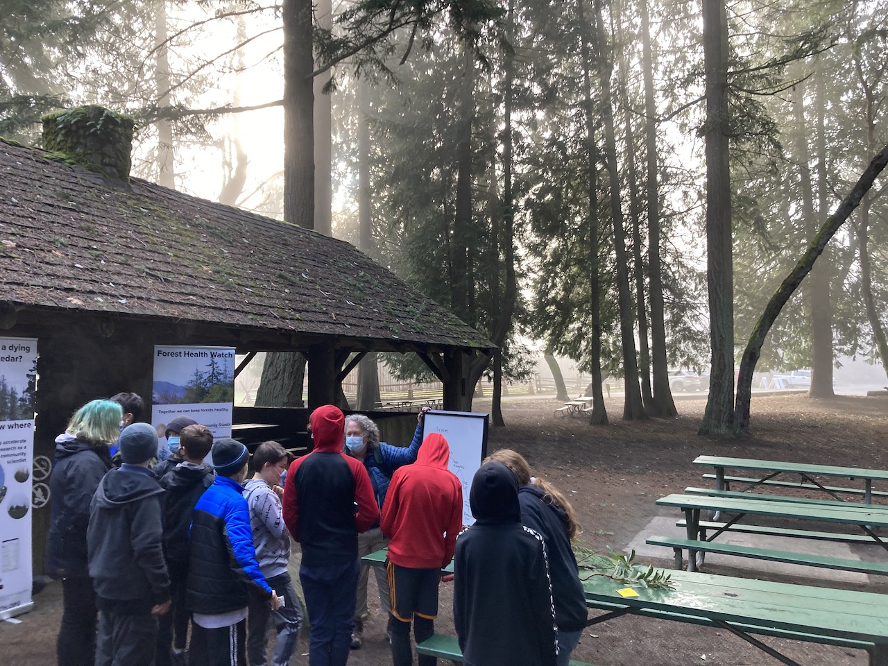 Wsu Forest Health Lab Washington State University