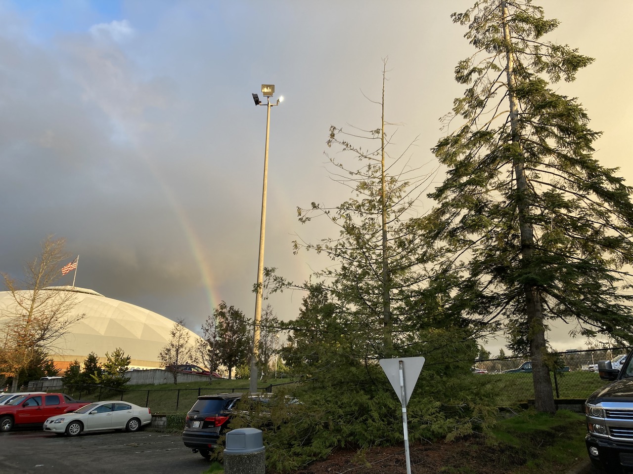 Contact us | WSU Urban Forest Health Lab | Washington State University Contact us | WSU Urban Forest Health Lab | Washington State University