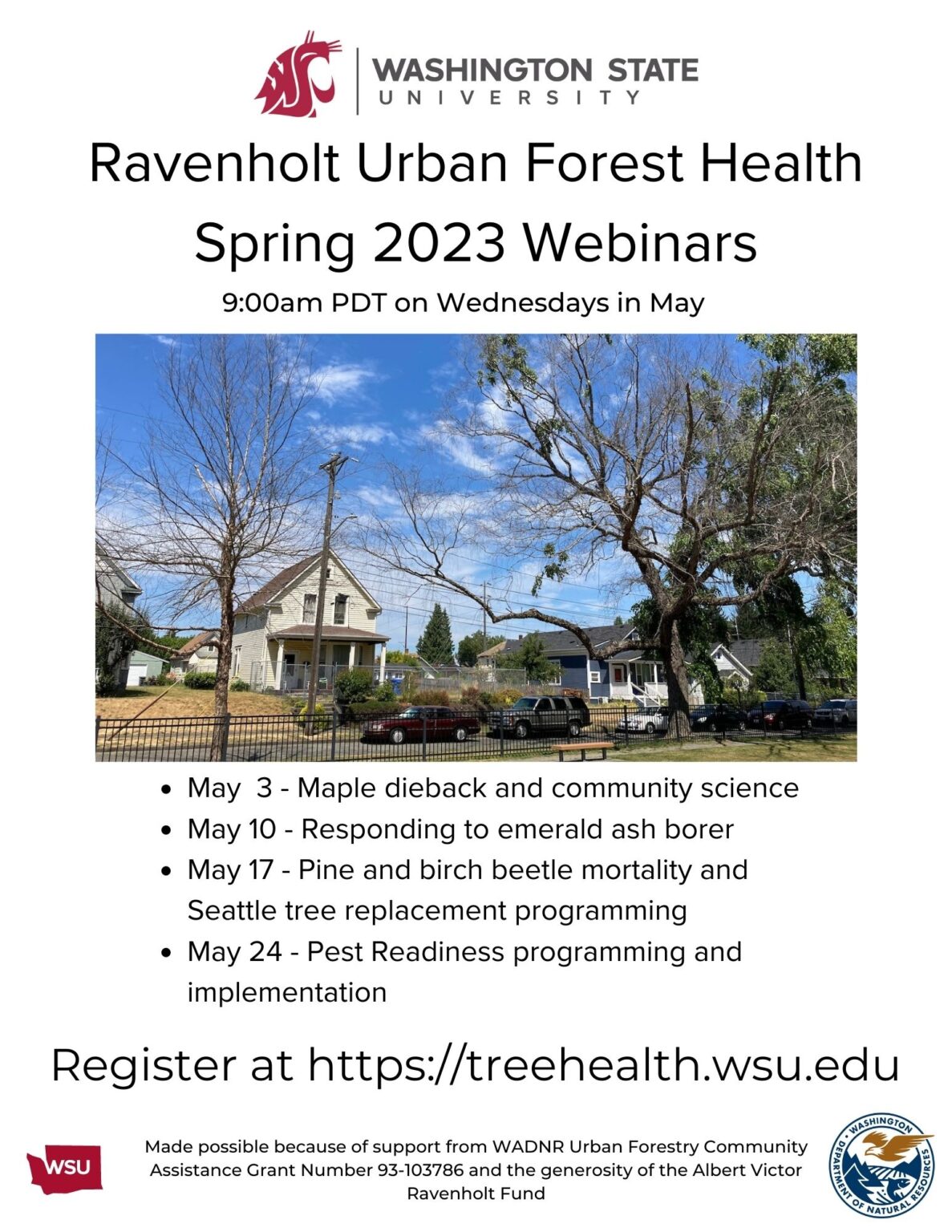 WSU Urban Forest Health Lab | Washington State University