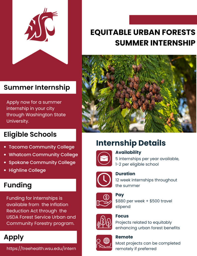 WSU Tree Equity Internships | WSU Forest Health Lab | Washington State University