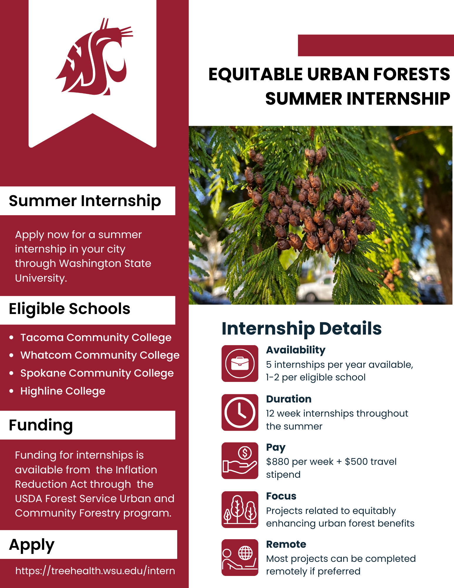 Urban Forests | WSU Urban Forest Health Lab | Washington State University Urban Forests | WSU Urban Forest Health Lab | Washington State University