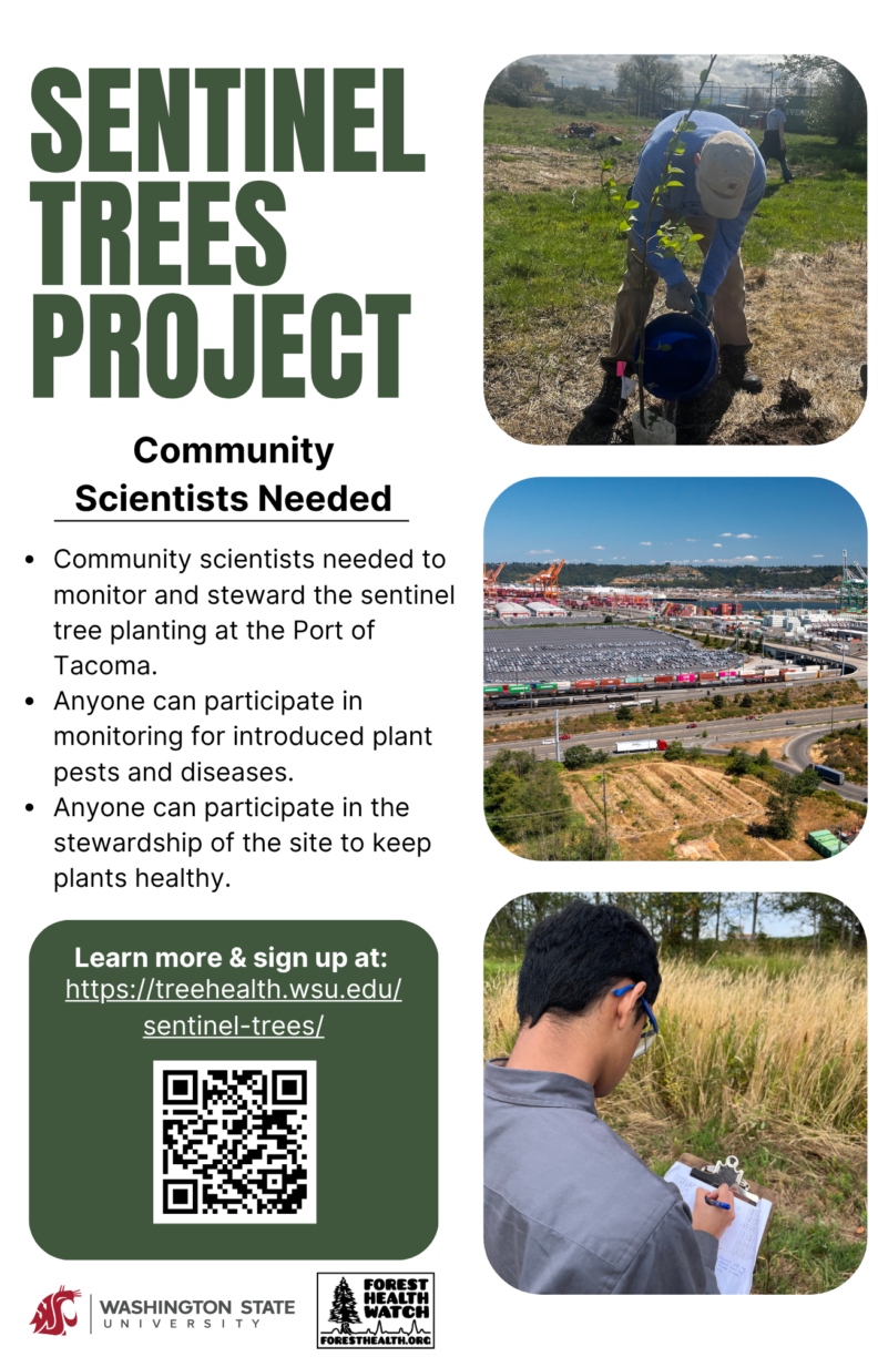 Resources | WSU Forest Health Lab | Washington State University