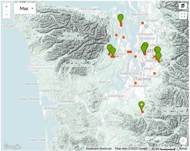 Western Sword Fern Dieback | WSU Urban Forest Health Lab | Washington ...