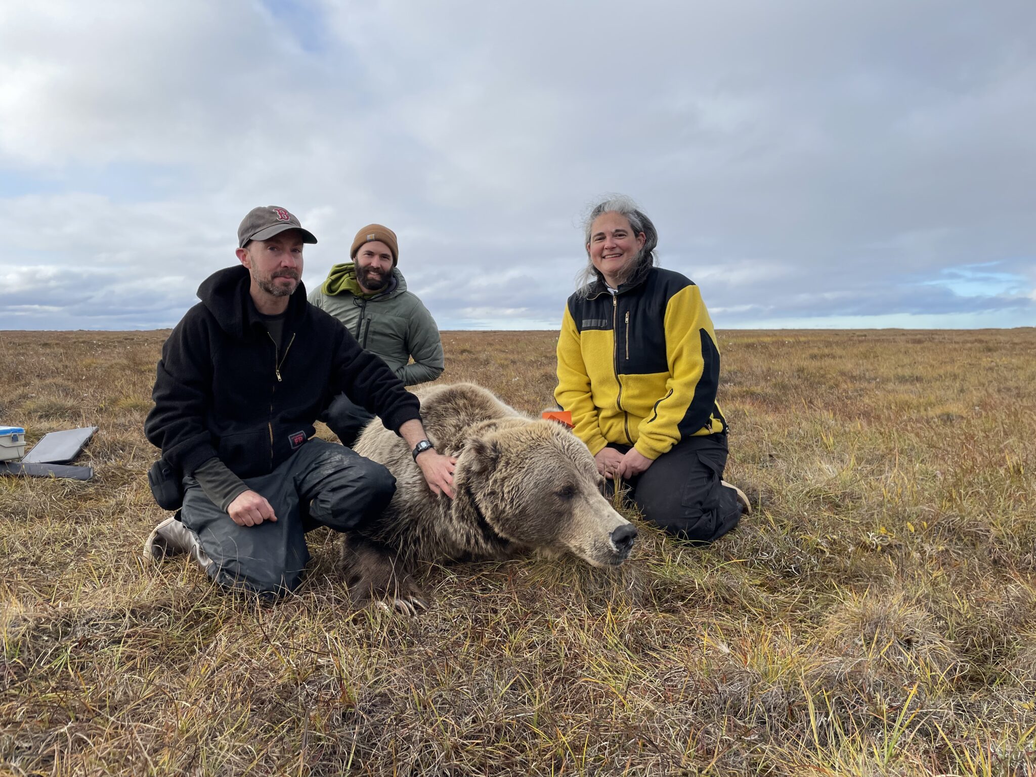 Research | WSU Bear Center | Washington State University