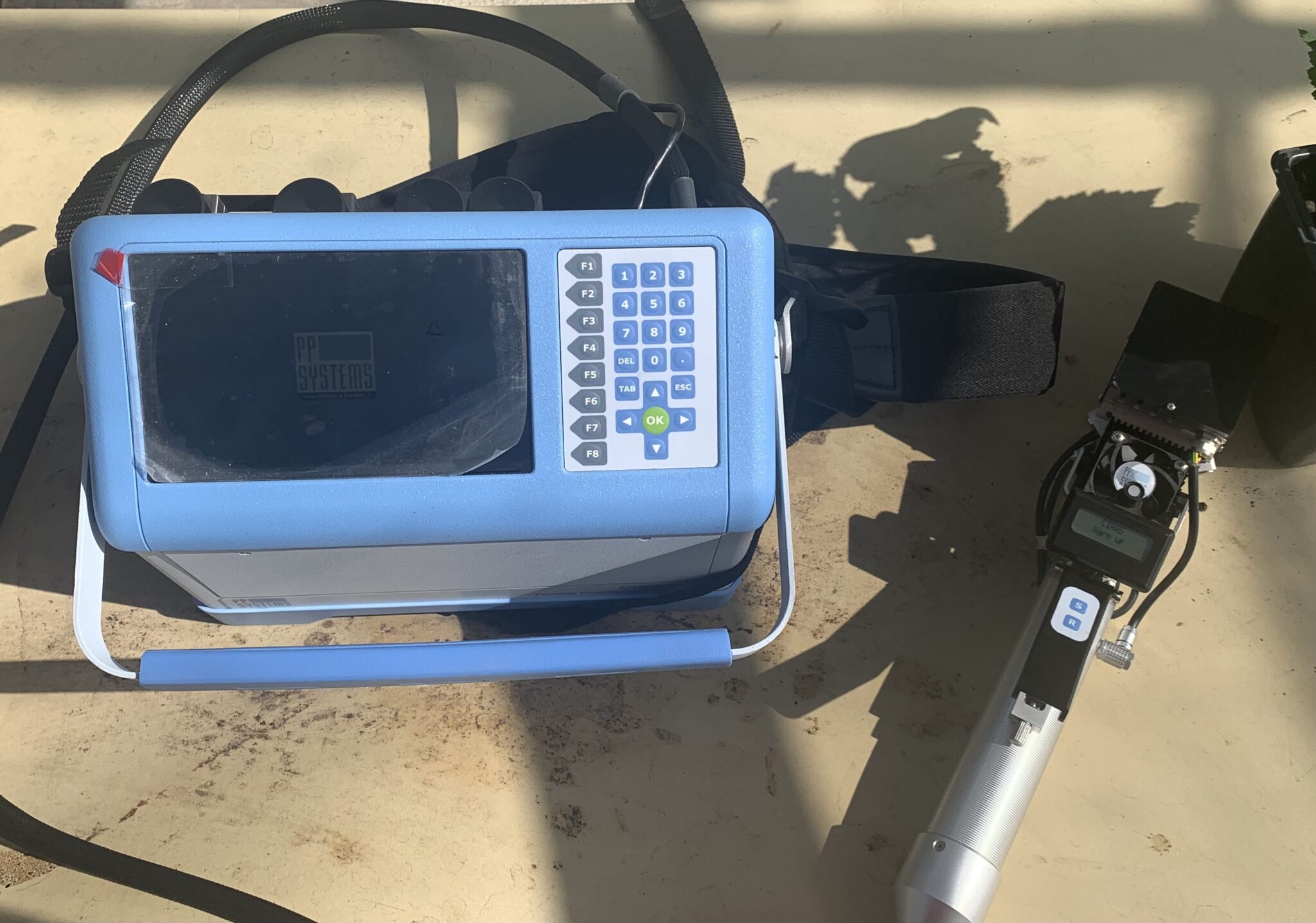 Identifying Plant Stress Using Photosynthesis Measurements | Beat the ...