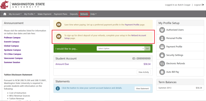 TouchNet Refunds | Bursar | Washington State University