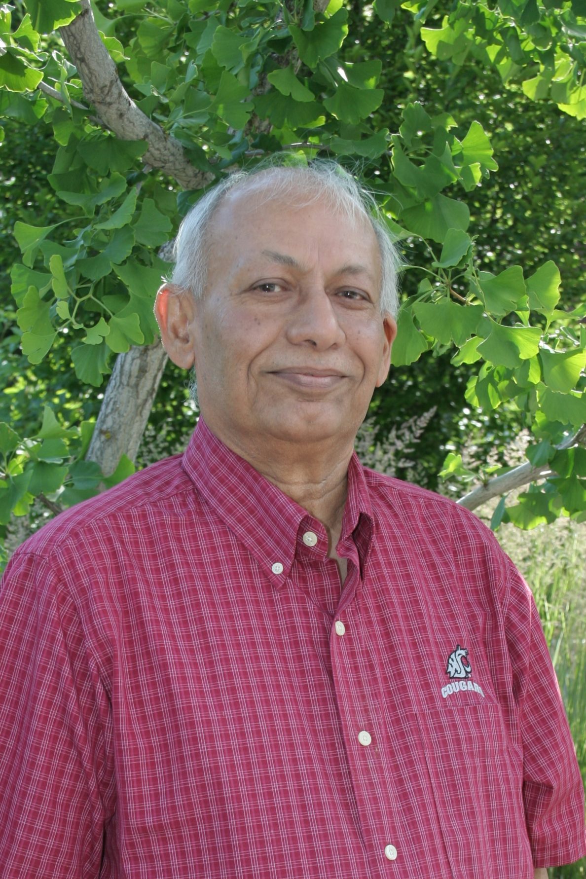 Gunjan Sinha | Modernization | Washington State University