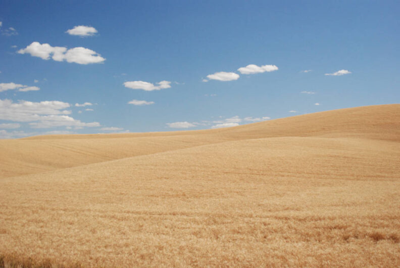 WAC Rules | Office of Policies, Records, and Forms | Washington State ...