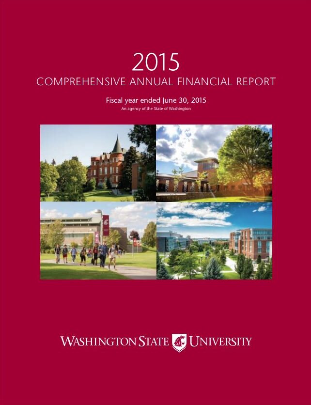 Financial Statements | University Accounting | Washington State University