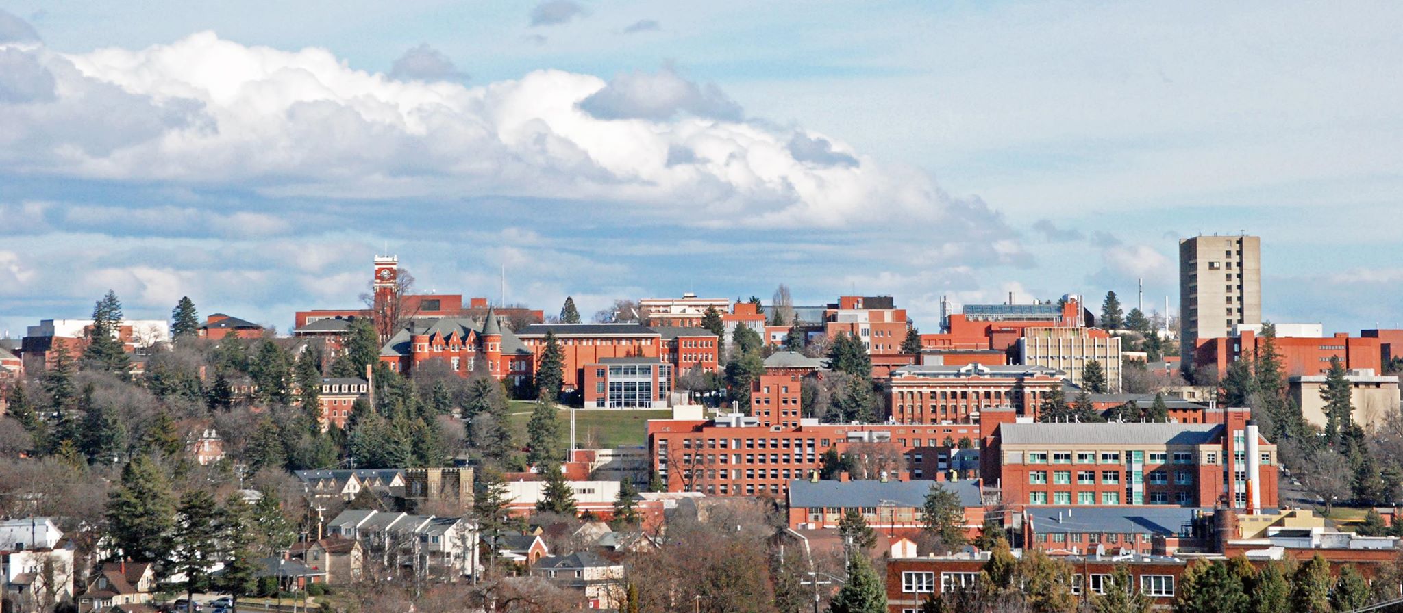 Office of Emergency Management | Washington State University
