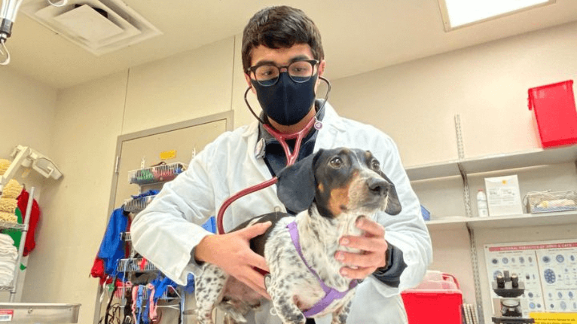 Health Profession Loans | Student Financial Services | Washington State ...