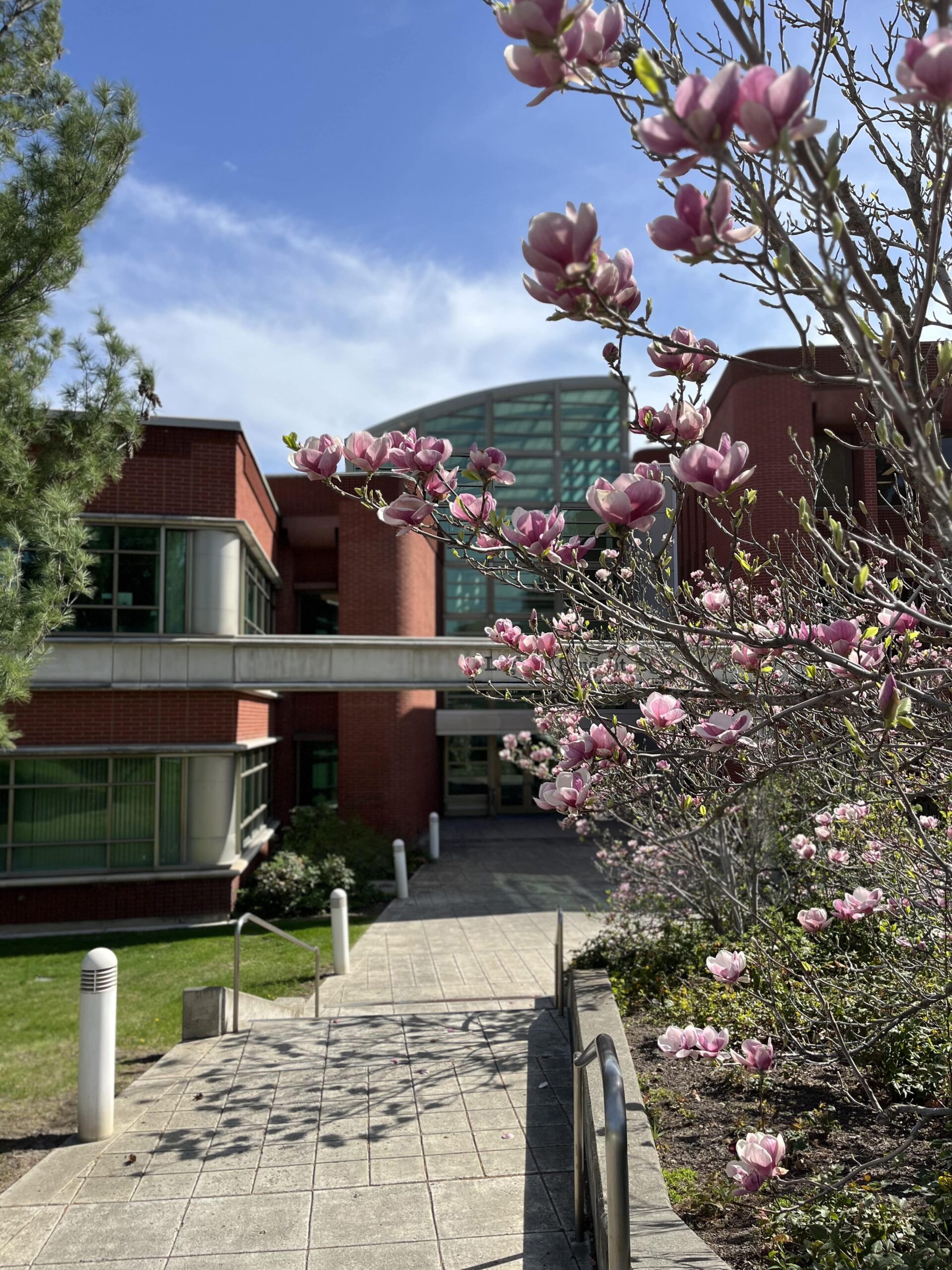 Contact Page | Student Financial Services | Washington State University