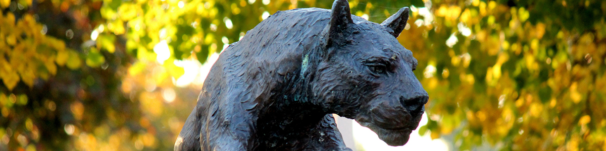 Gifts of Stock | WSU Foundation | Washington State University