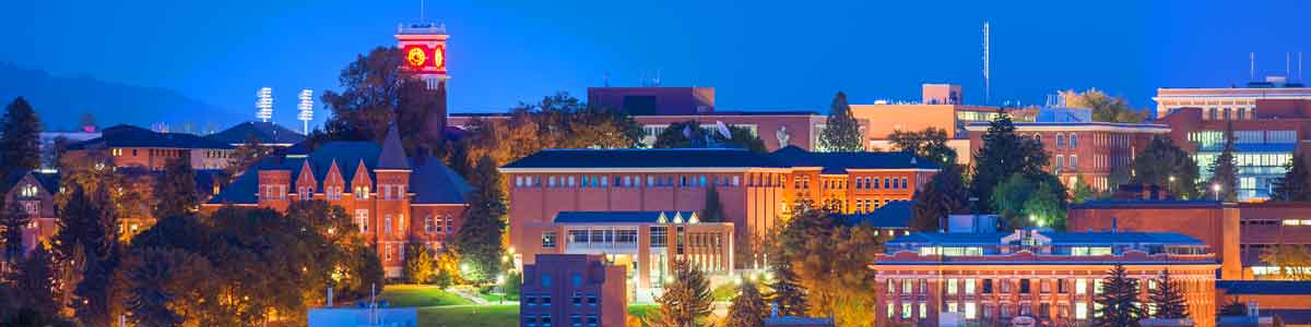 WSU Colleges | WSU Foundation | Washington State University