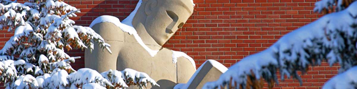 The Libraries at WSU | WSU Foundation | Washington State University