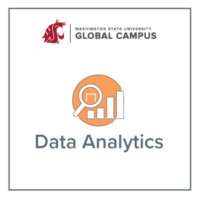 Data Analytics | WSU Global Campus | Washington State University